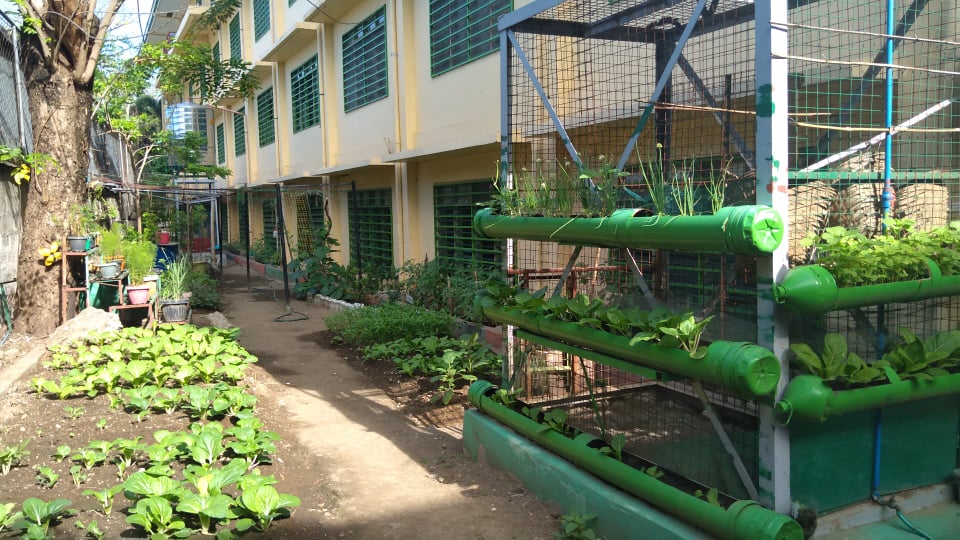 Programs | ﻿Paranaque Elementary School Central